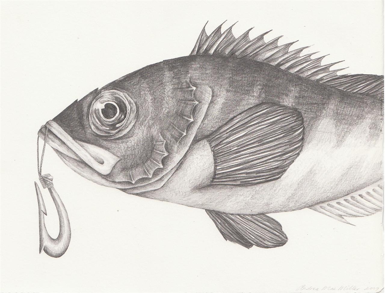 Andrea Mae Miller - Fine Art Printmaker